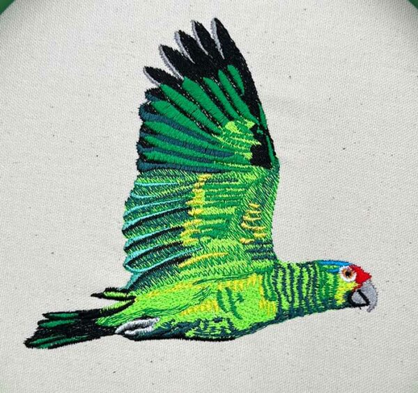 Red Crowned Parrot 3 sizes John Deer Embroidery Design