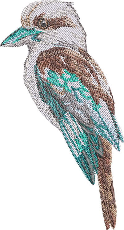 Embroidery Design: Outback Kookaburra 3 sizes | Legacy
