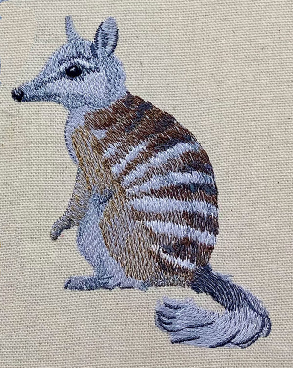 Embroidery Design: Outback Numbat 3 sizes