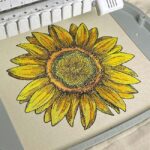 Machine Embroidery Files: Formats & Types Explained